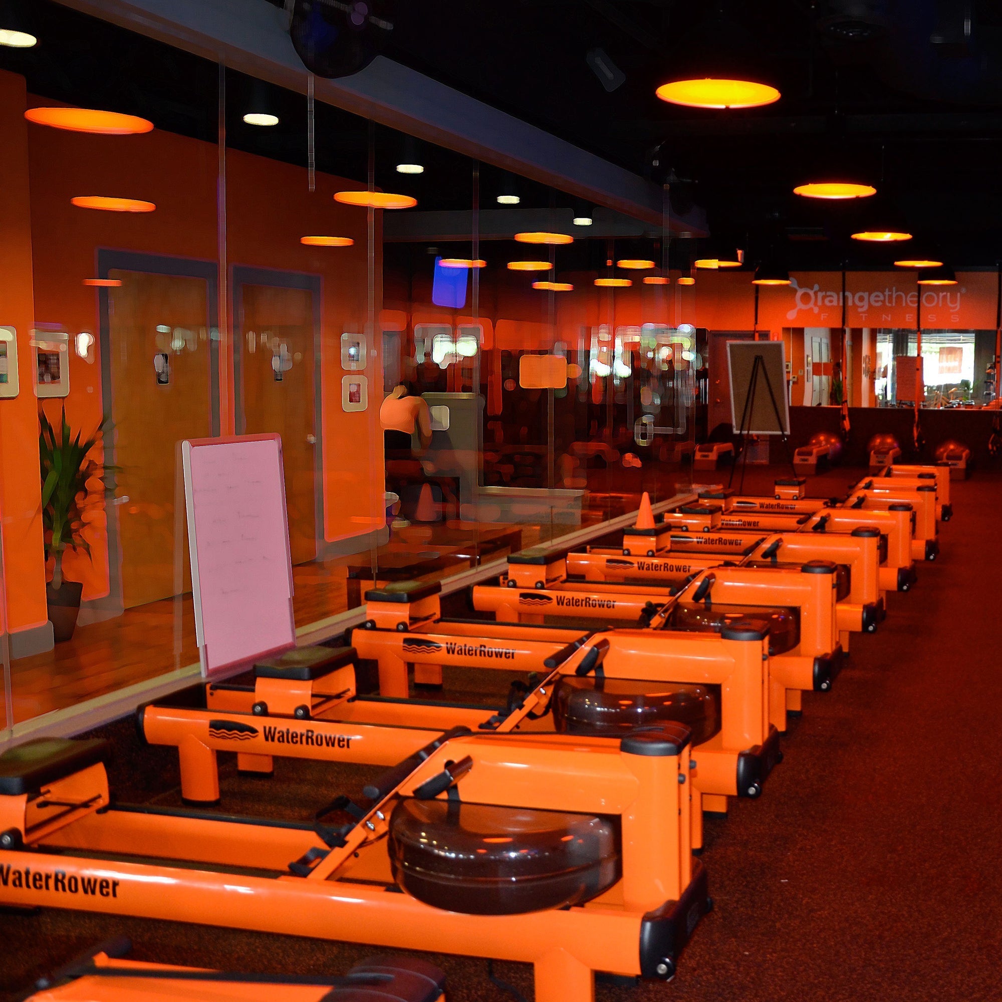 Pop-ups revitalise retail, what about gyms? - Bouncepad